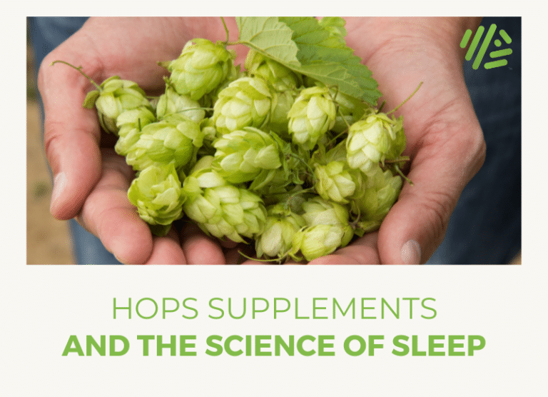 Hops as a Sleep Aid? Here's the Science - Gene Food