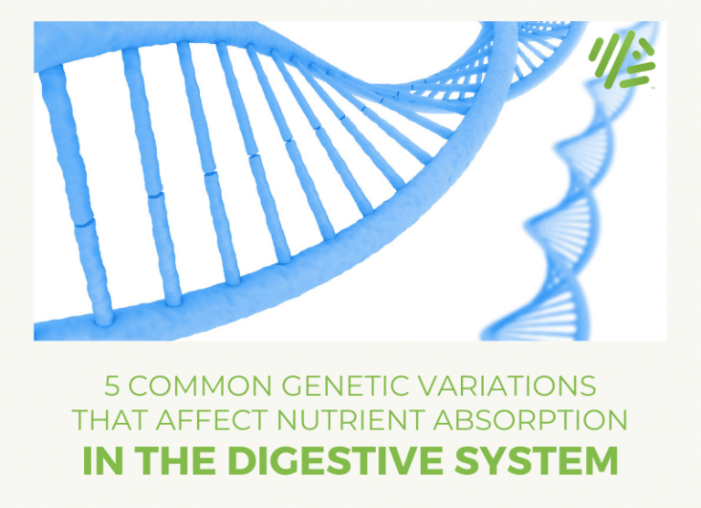 5 Common Genes that Affect Nutrient Absorption in Digestion - Gene Food