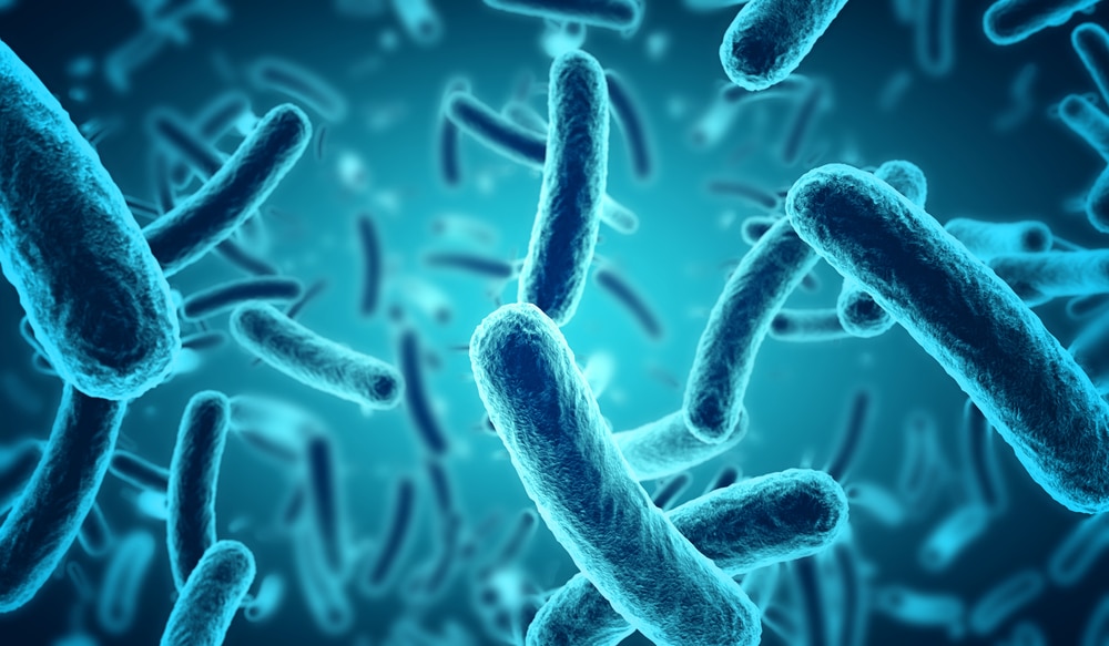 What are the Health Benefits of Bifidobacterium Longum? - Gene Food