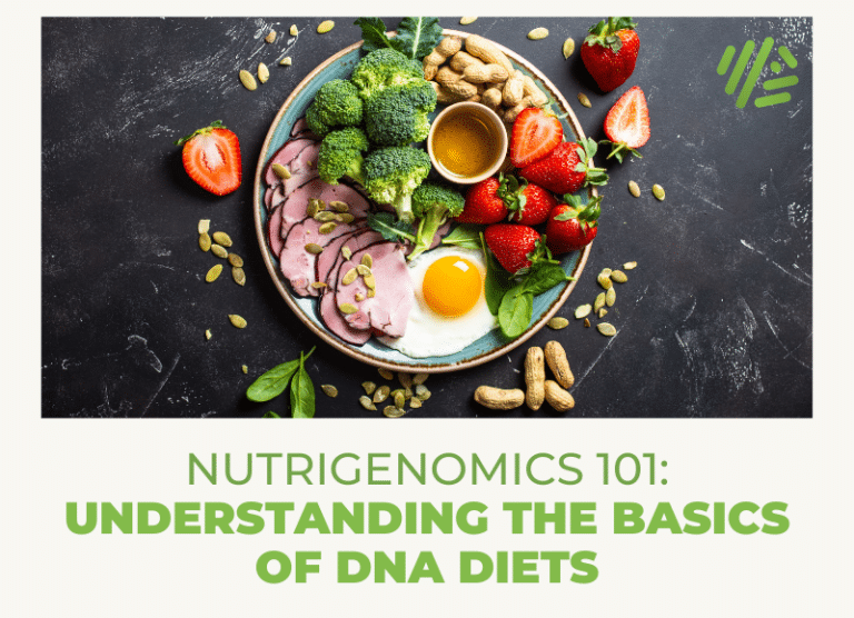 Nutrigenomics 101: Understanding the Basics of DNA Diets - Gene Food